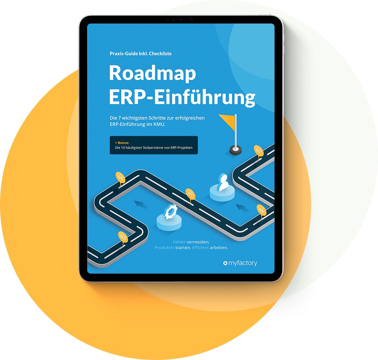Praxis-Guide ERP-Einführung