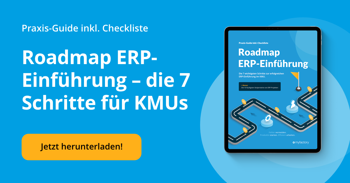 Praxis-Guide ERP-Einführung